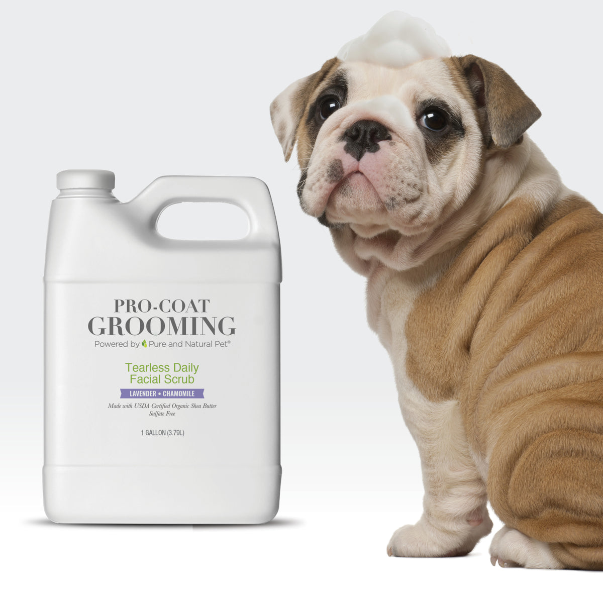 Facials – Pro Coat Grooming